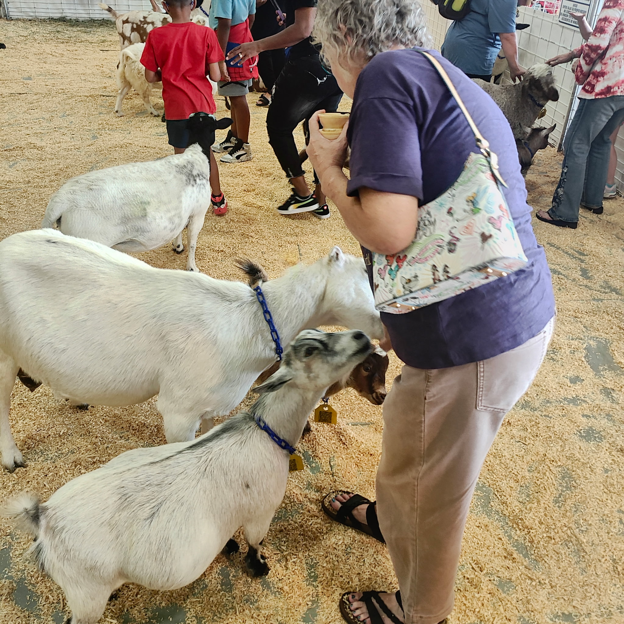 Tulsa State Fair – McFadden Family Adventures
